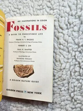 Accents | Golden Press Fossils A Guide To Prehistoric Life 1962 ...